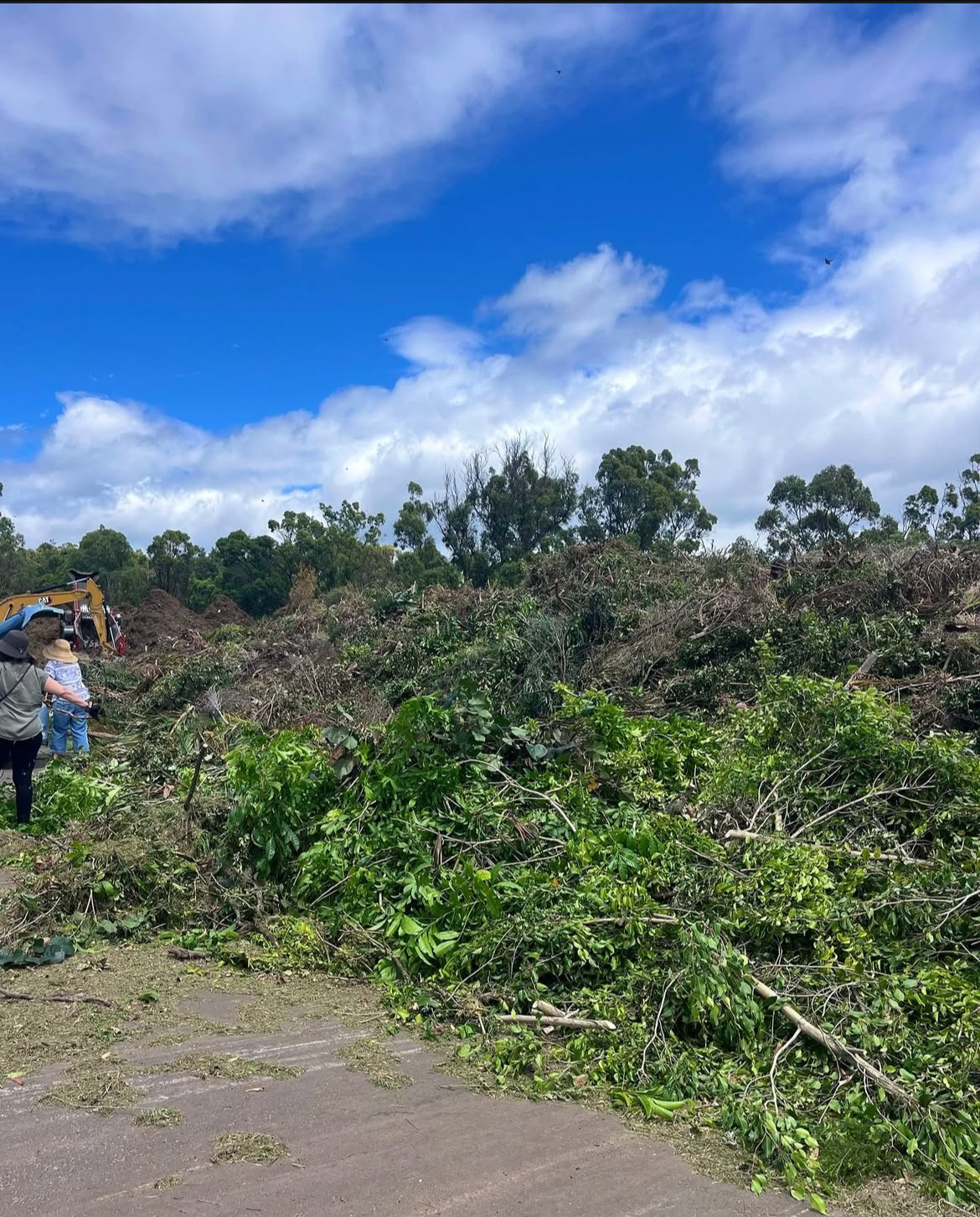 Springfield Lakes on Alert as Tropical Cyclone Alfred Approaches ...